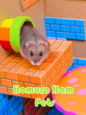 فصل 1 قسمت 19 سریال حیوانات خانگی همورا هم (Homura Ham Pets S01E19 ...