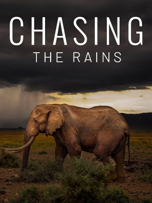 🎥 فصل 1 قسمت 2 سریال در تعقیب باران (Chasing the Rains S01E02 ...