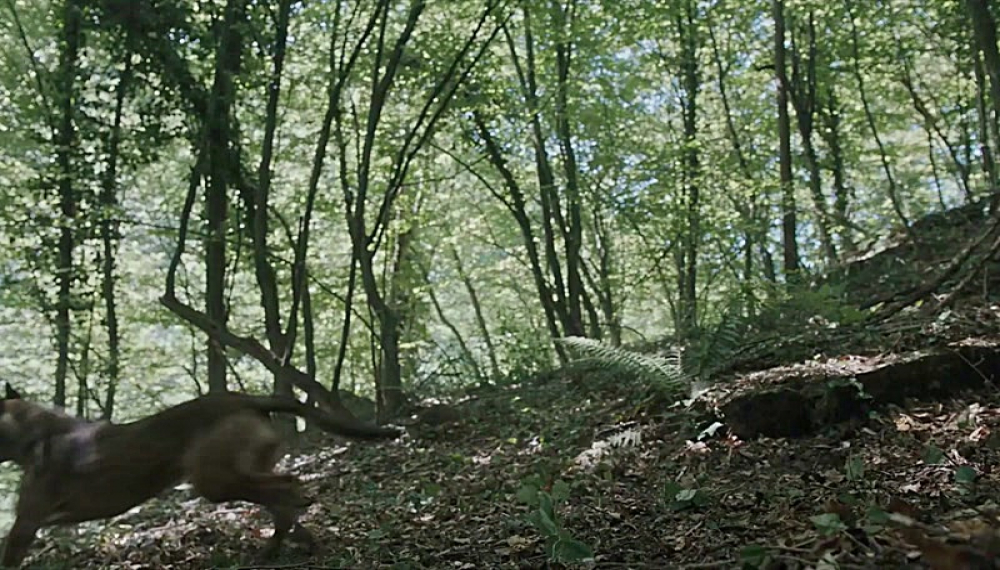 🎥 فصل ۱ قسمت ۳ سریال رابین هود (Robin Hood S01E03) | دوبله فارسی و ...